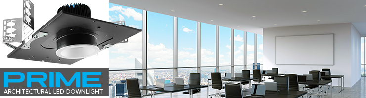 22" Skyline LED Area Light | Rayon Lighting Group