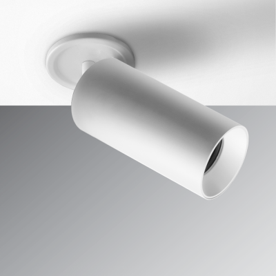 Adjustable | Rayon Lighting Group